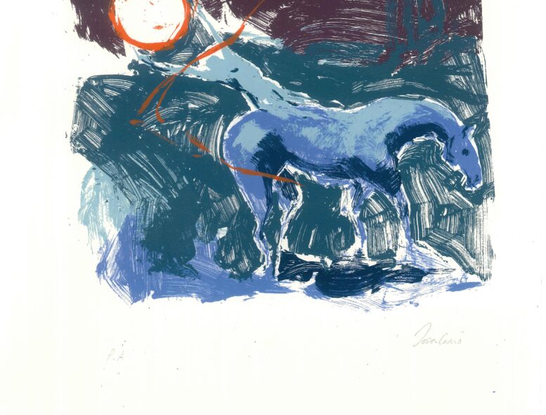 TESS Gallery | Rosa Cano